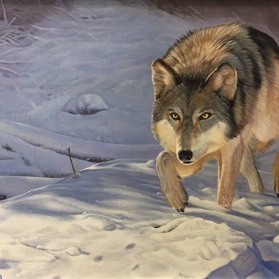 Garry Fleming | Morpeth Gallery