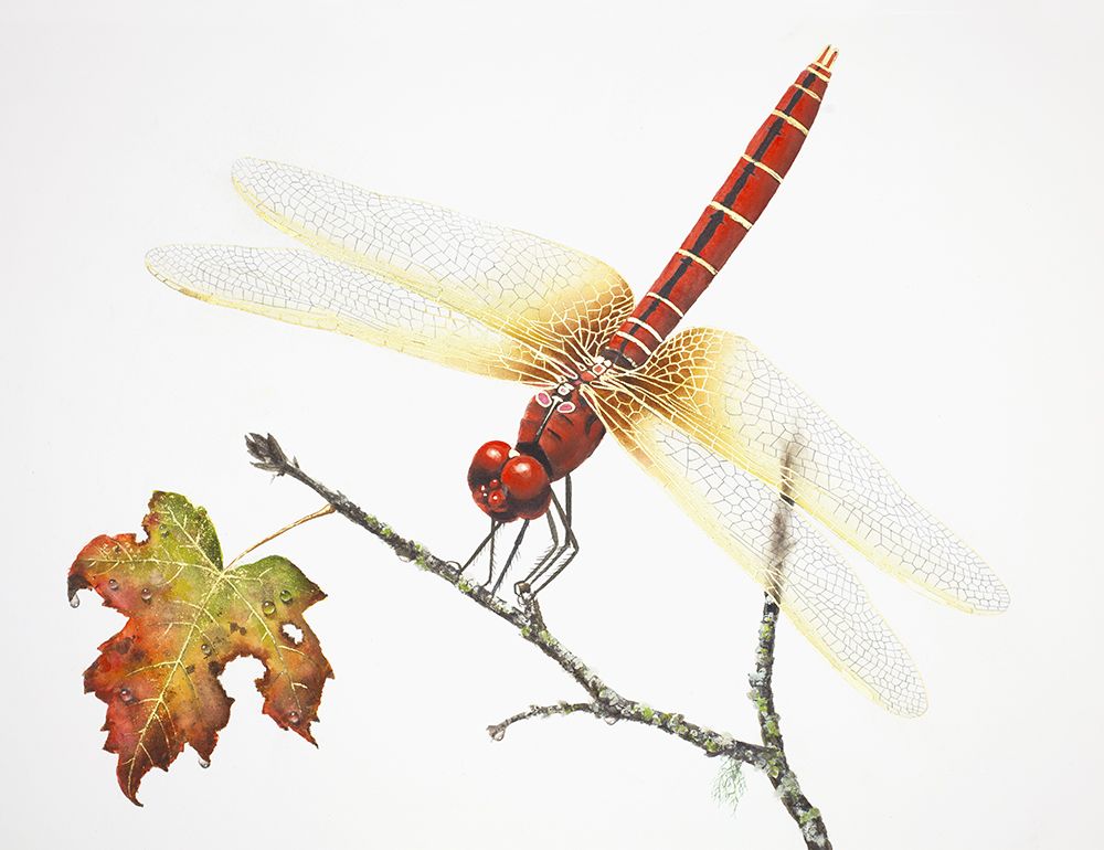 Gordon Hanley Prints - Morpeth Gallery
