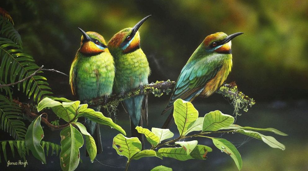 James Hough - Morpeth Gallery